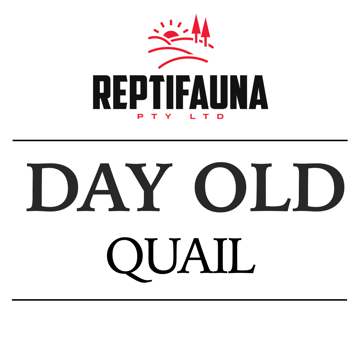 Frozen Quail: Day Old – Reptifauna