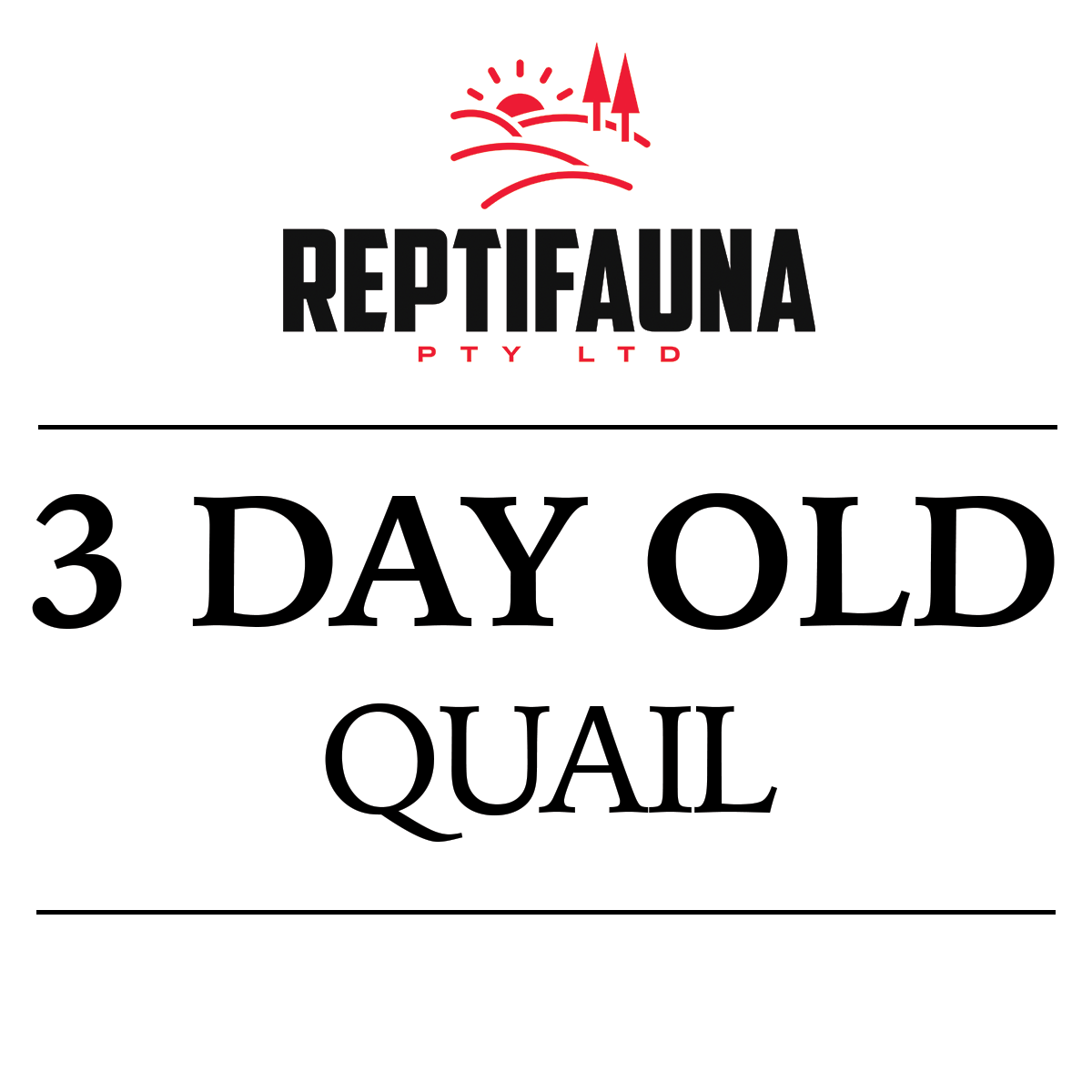 Frozen Quail: 3 Day Old – Reptifauna