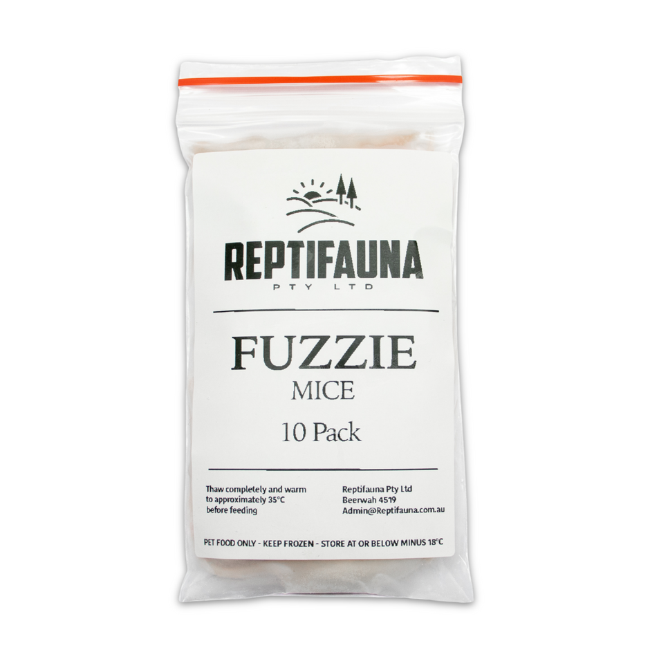 Frozen Mice – Reptifauna