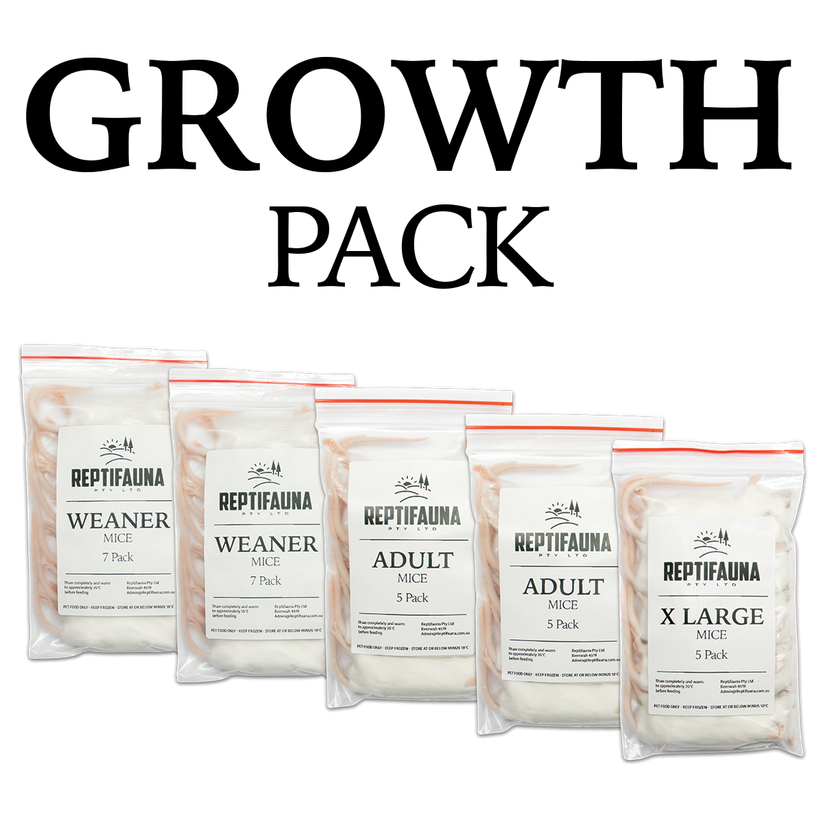 Small Snake Growth Bundle – Reptifauna