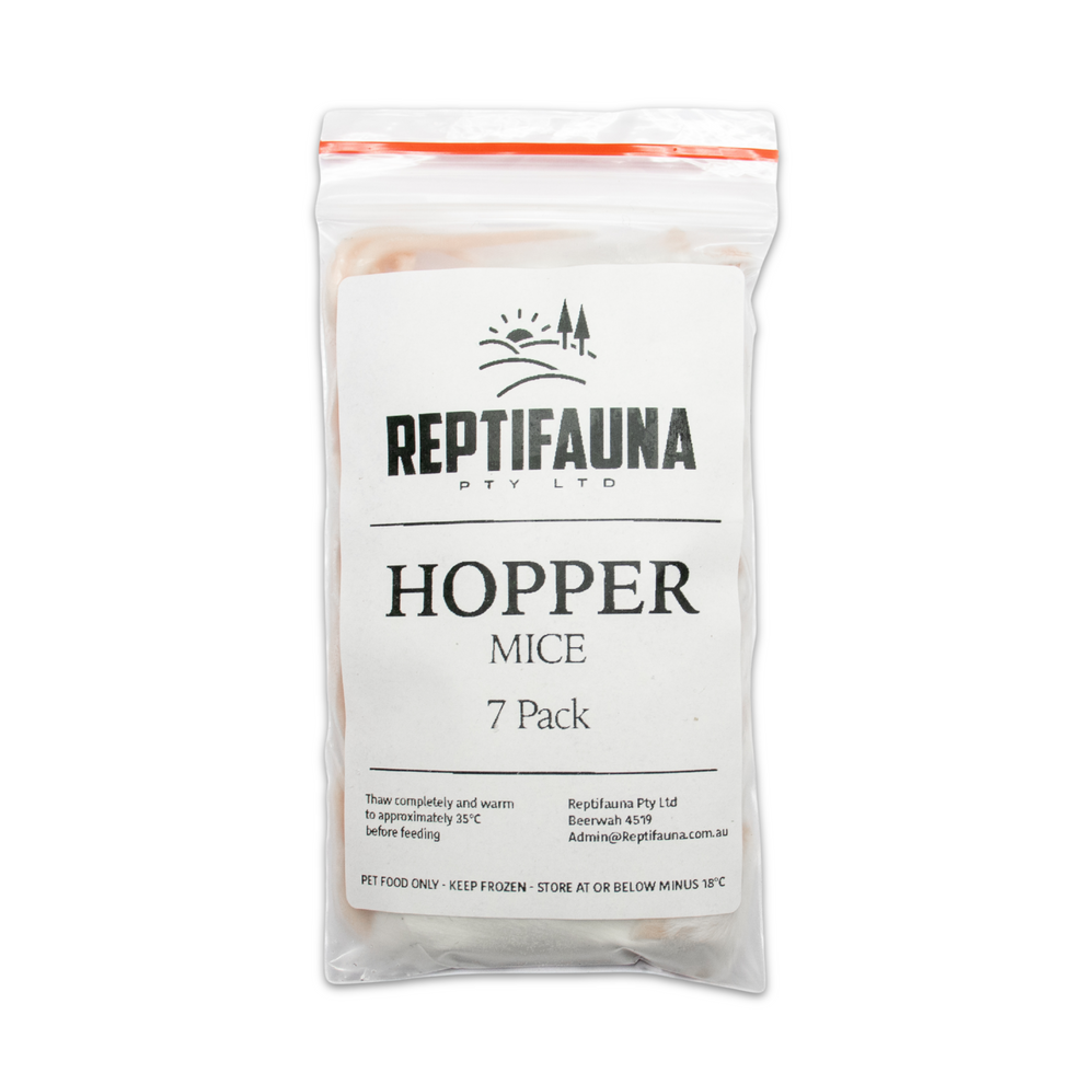 Frozen Mice: Hopper – Reptifauna