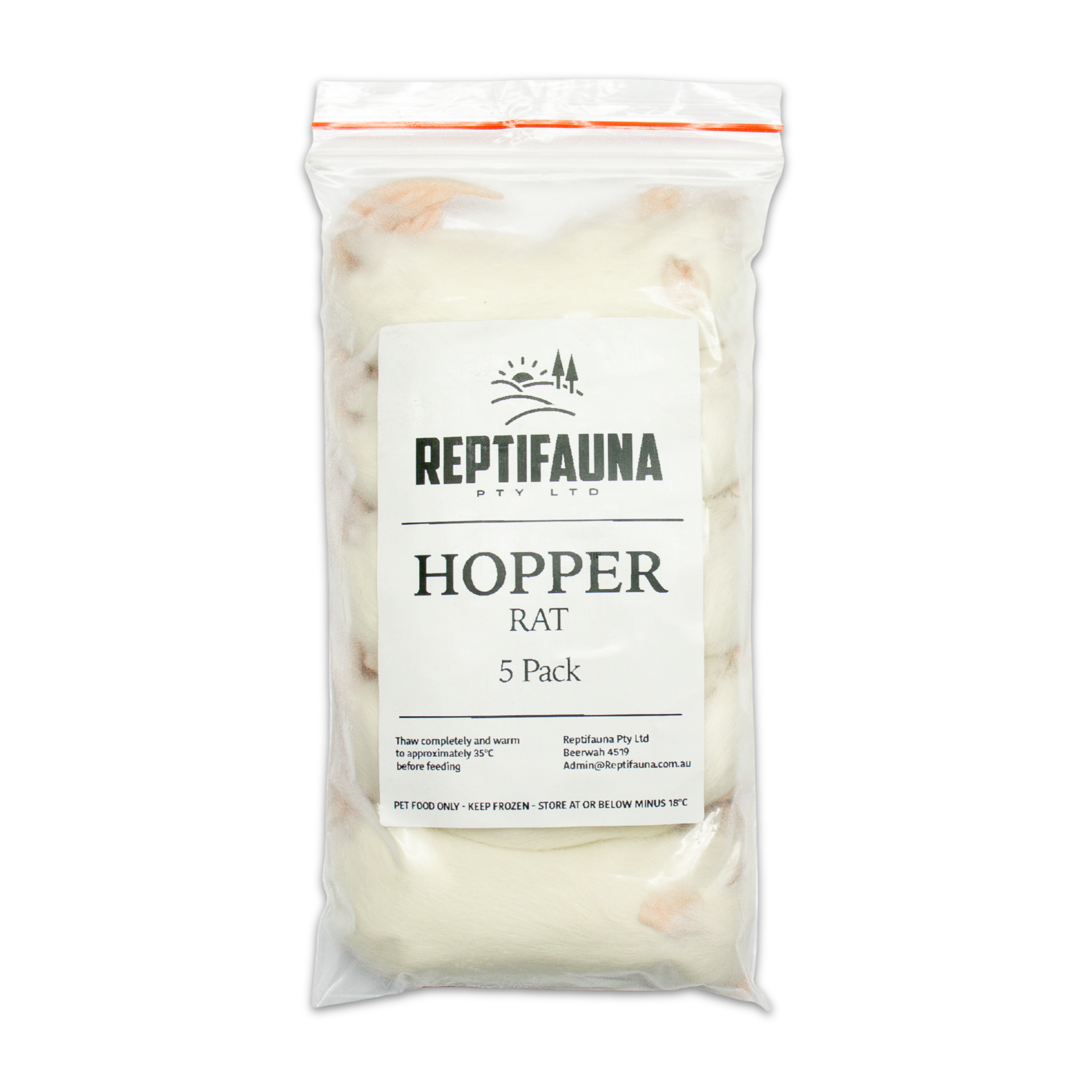 Frozen Rats: Hopper – Reptifauna