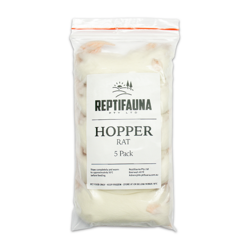 Frozen Rats: Hopper – Reptifauna