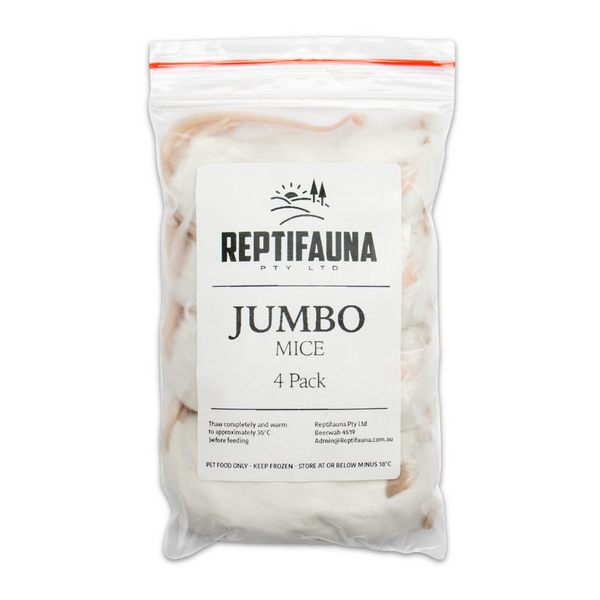 Frozen Mice: Jumbo – Reptifauna