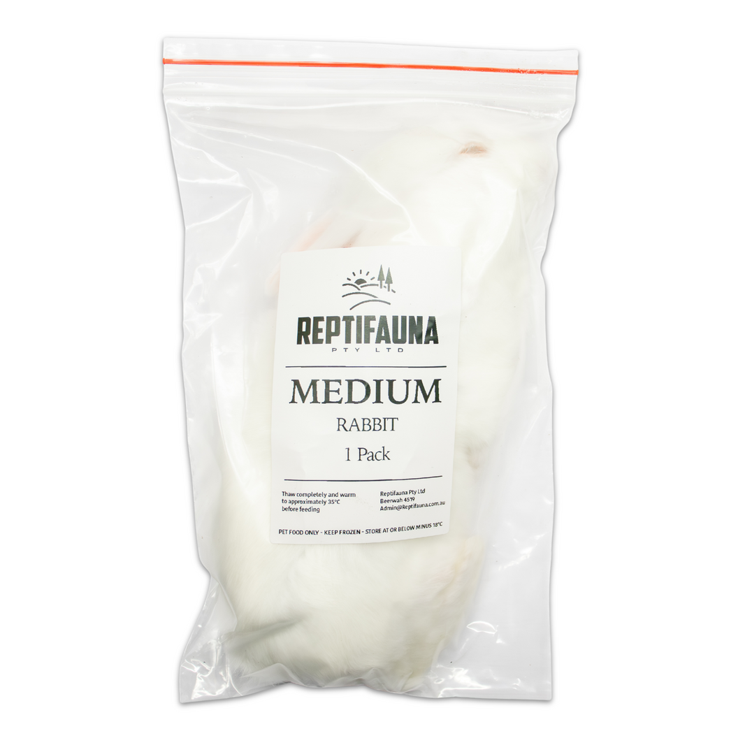 Frozen Rabbits – Reptifauna