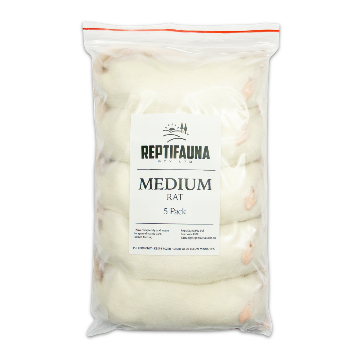 Frozen Rats: Medium – Reptifauna