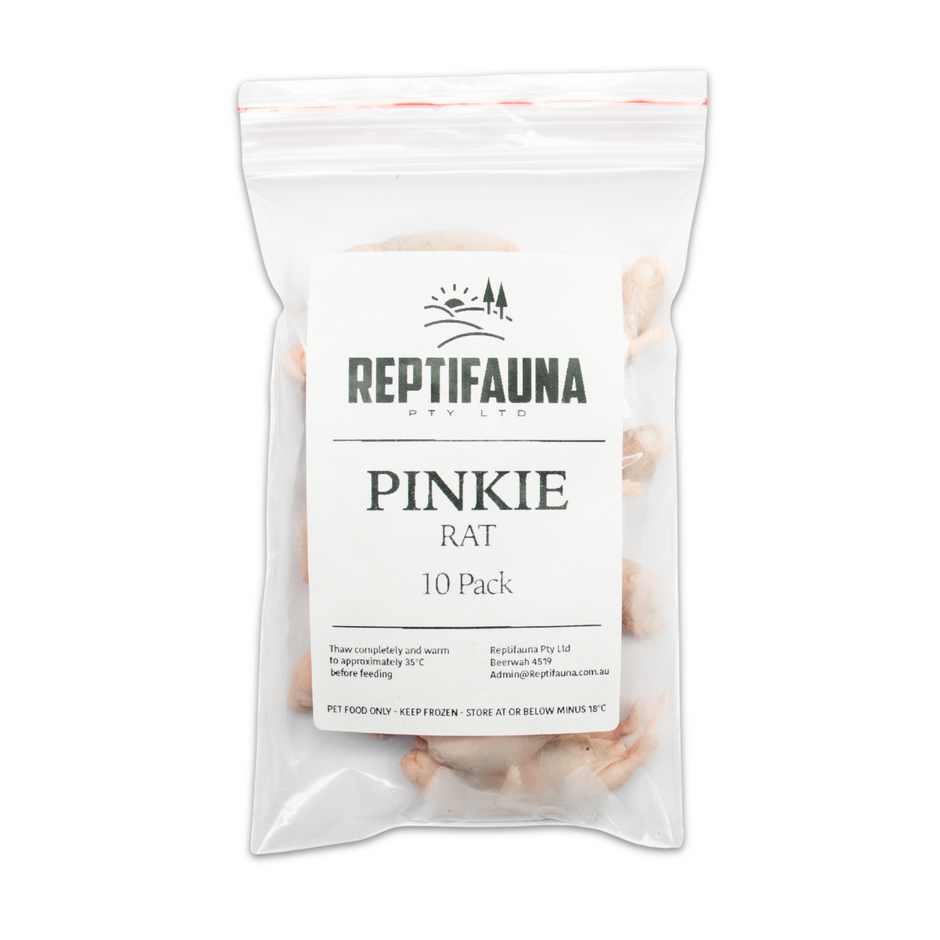Frozen Rats – Reptifauna