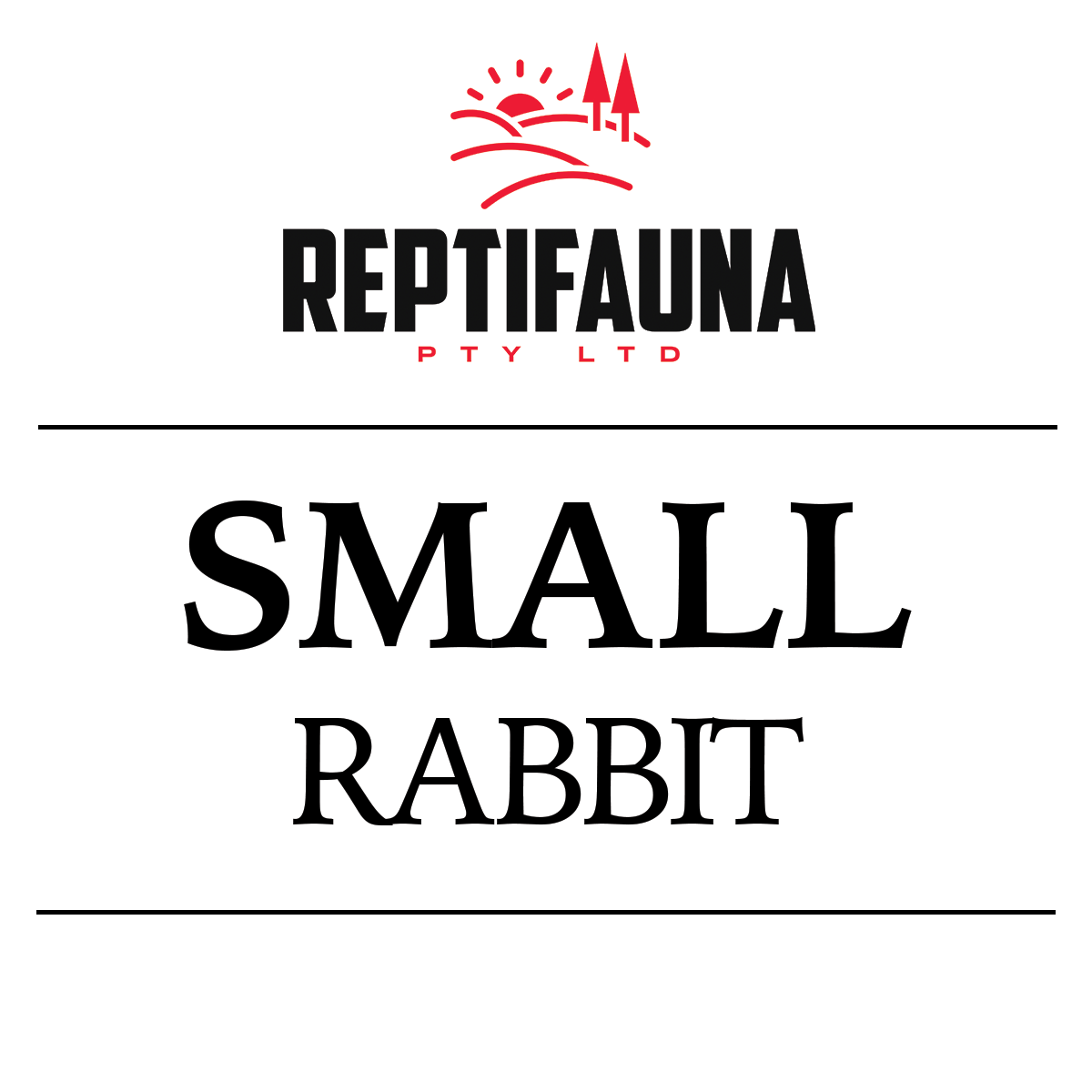 Frozen Rabbits: Small – Reptifauna