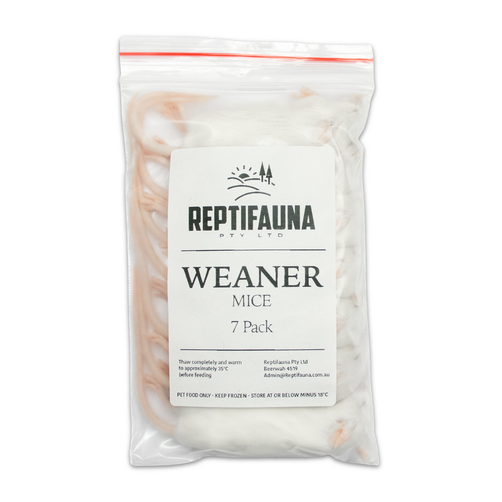 Frozen Mice: Weaner – Reptifauna