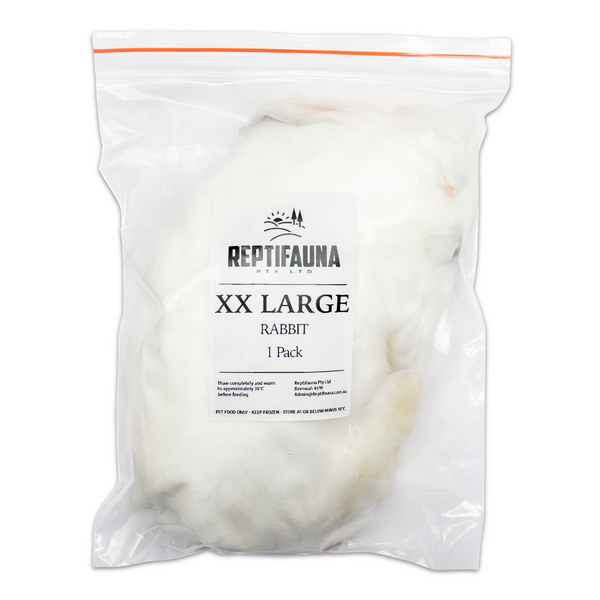 Frozen Rabbits: XX Large – Reptifauna