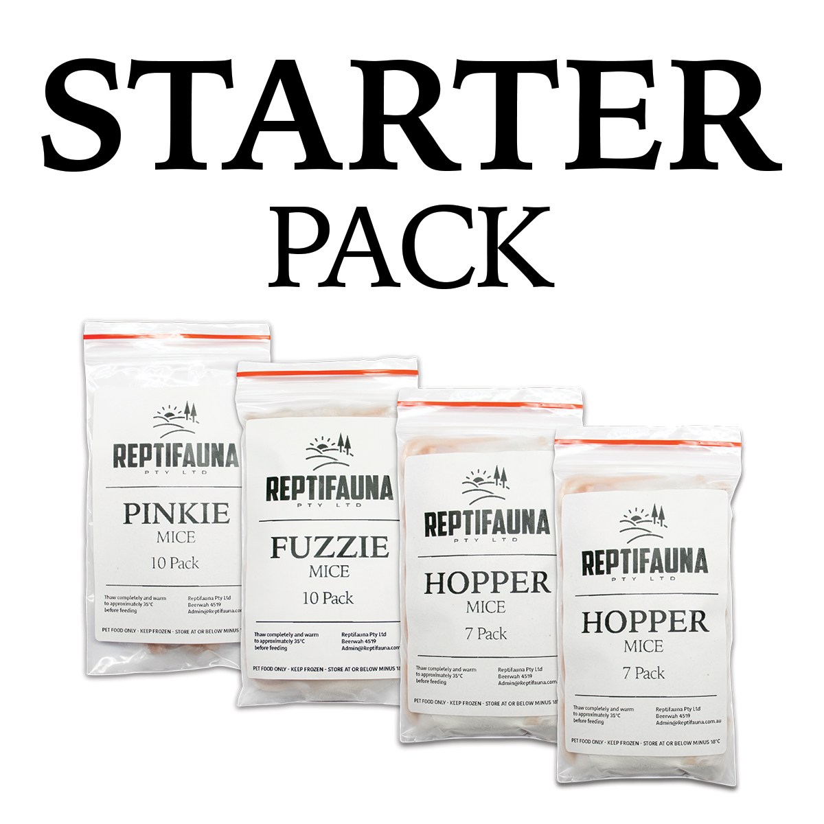 Small Snake Starter Bundle – Reptifauna